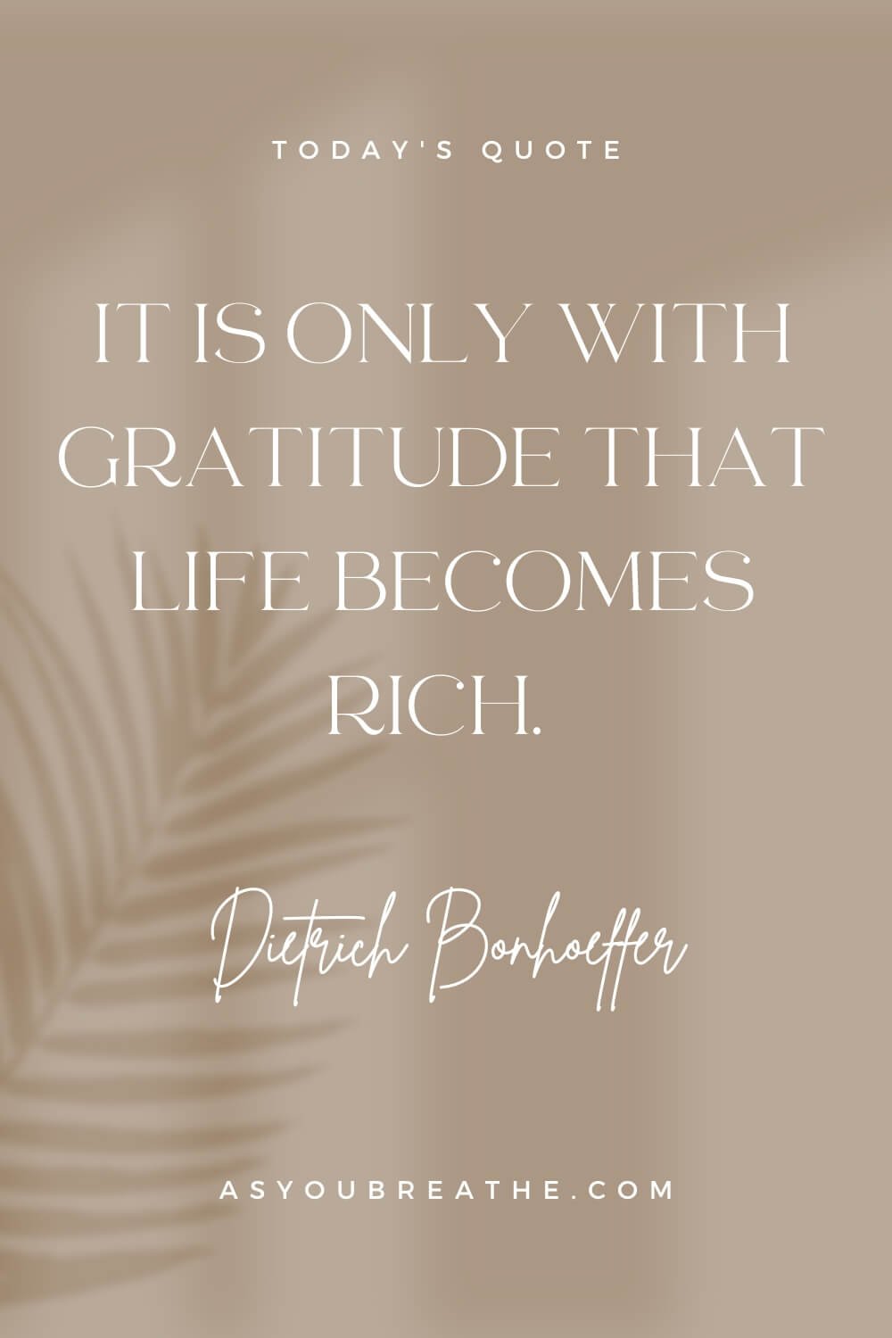 65 Inspiring Mindfulness Gratitude Quotes: Become More Mindful