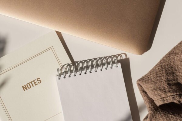 60 Money Journal Prompts to Develop Money Mindset